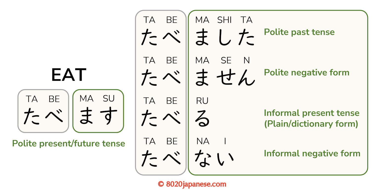 Understanding Japanese Verb Structure: A Visual Guide - 80/20 Japanese