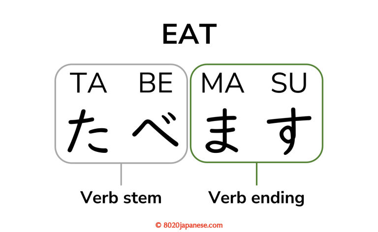 Understanding Japanese Verb Structure: A Visual Guide - 80/20 Japanese
